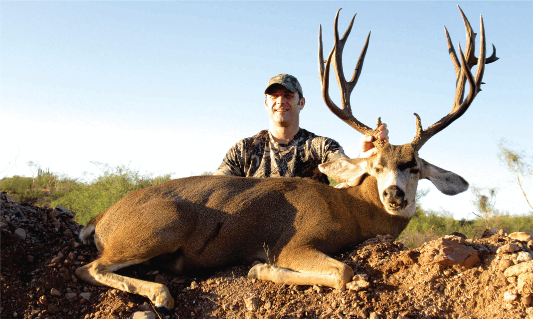 MULE DEER 5 - Sonora Desert Outfitters